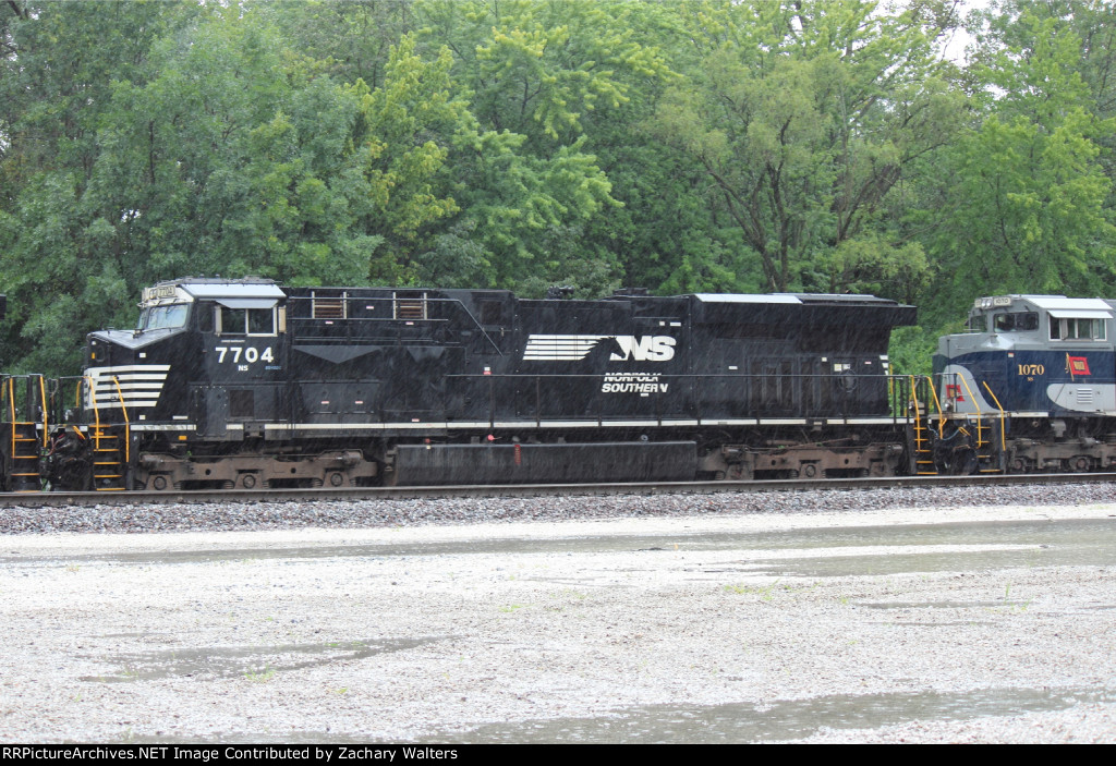 NS 7704
